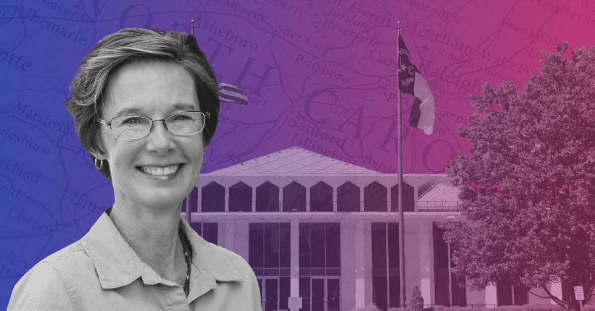 Meet Your North Carolina Lawmakers: State Sen. Rachel Hunt of ...