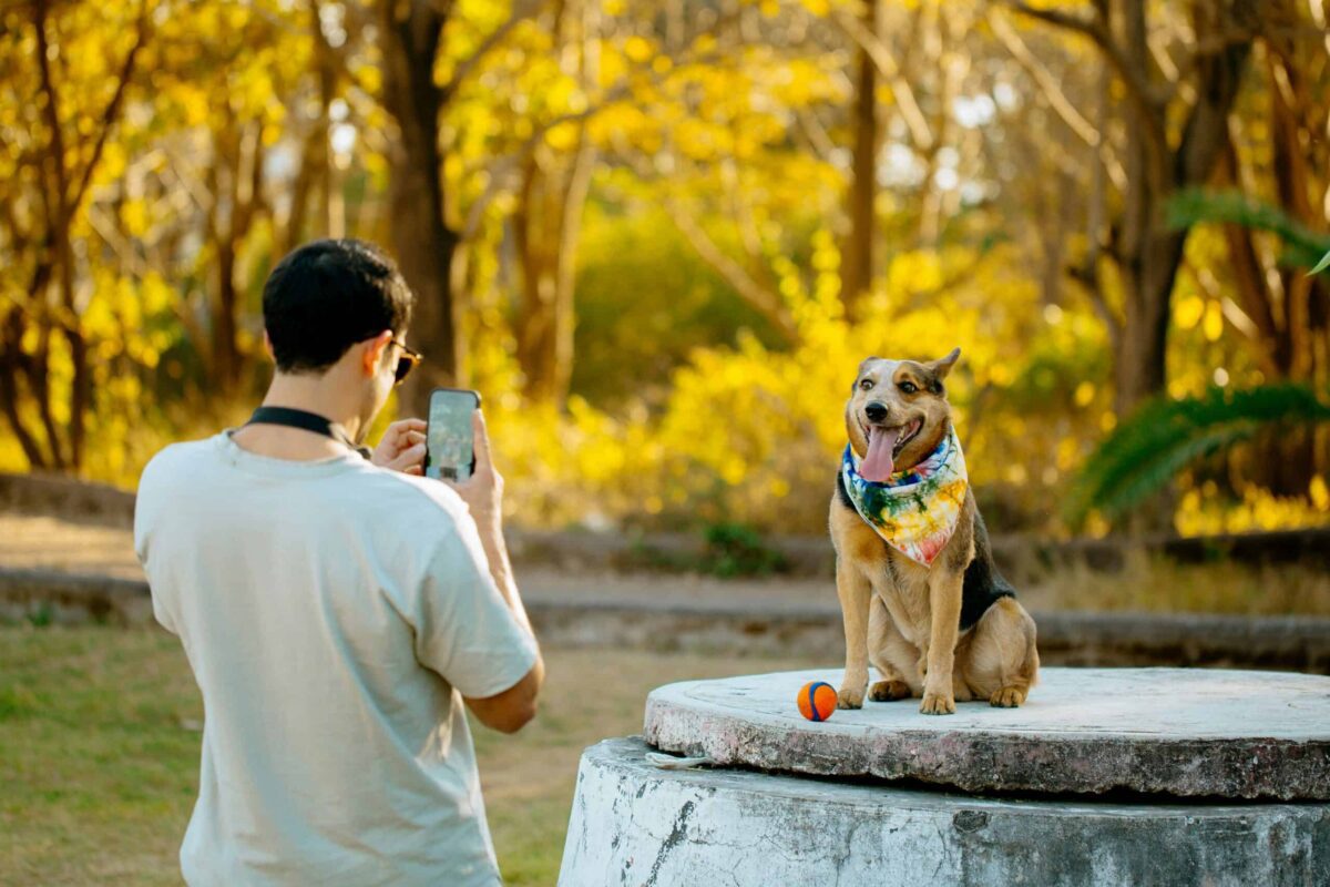 These are the 8 best dog parks in Charlotte, NC
